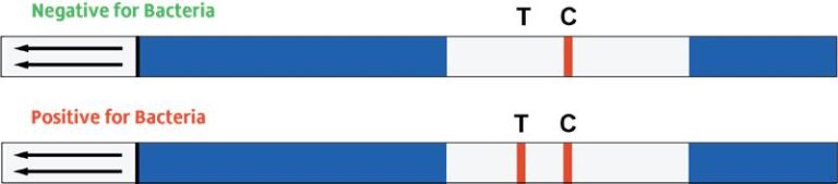FASTCheck15™ In-Office Waterline Test Strip